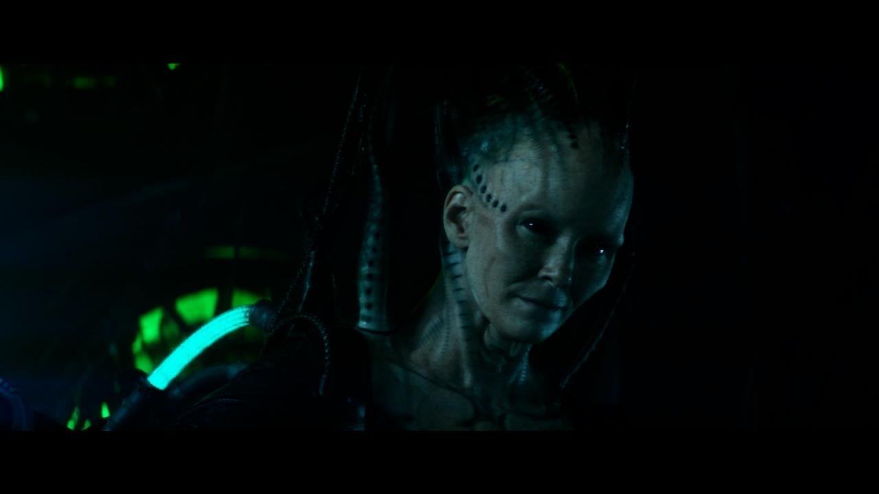 WATCH: Star Trek: Discovery - Captain Pike Reunites with Vina on Talos ...